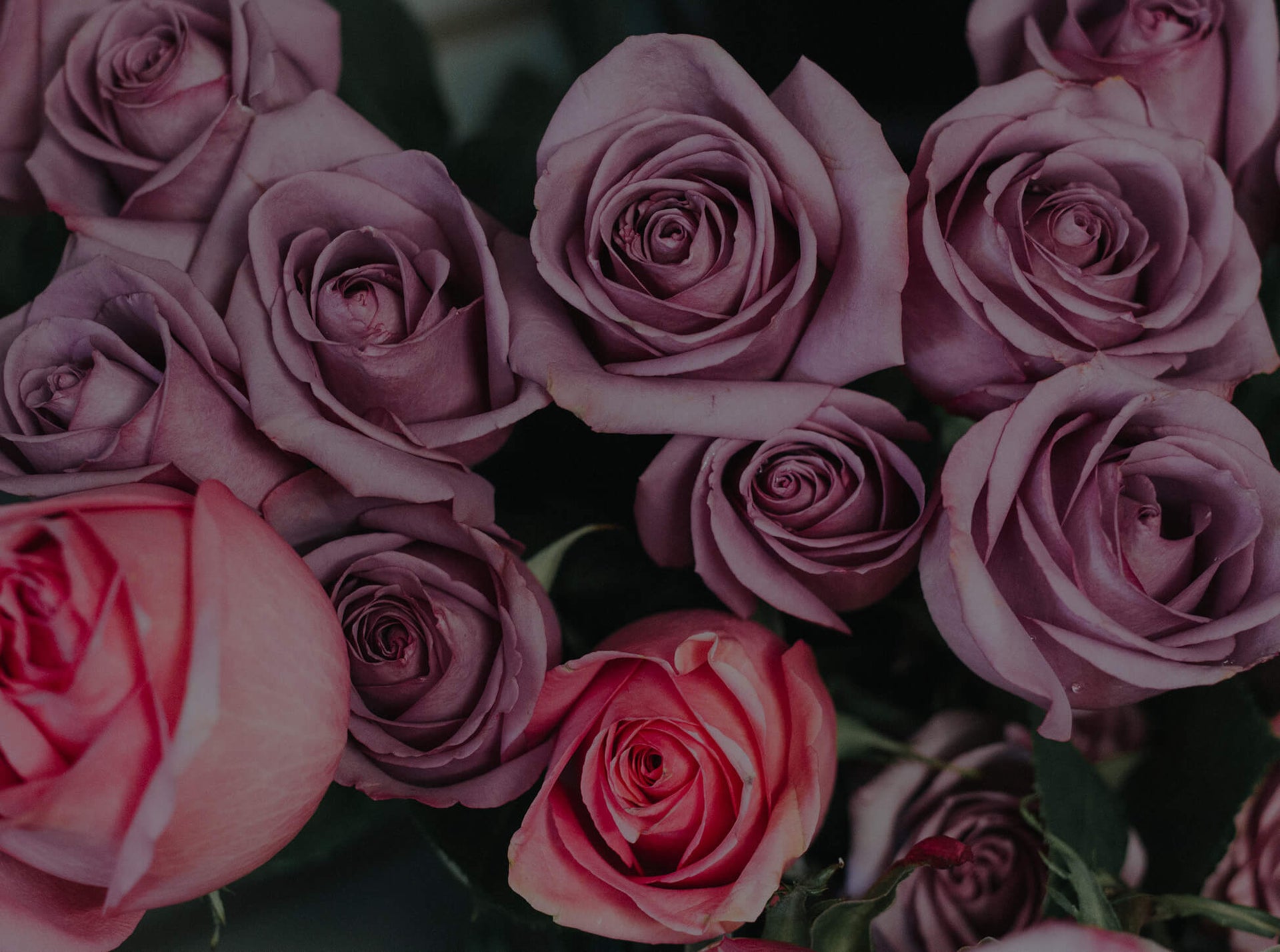 Woodland Hills Florist - Same Day Flower Delivery in Woodland Hills ...